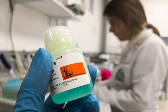 The 10 Golden Rules of COSHH in the Workplace | Human Focus