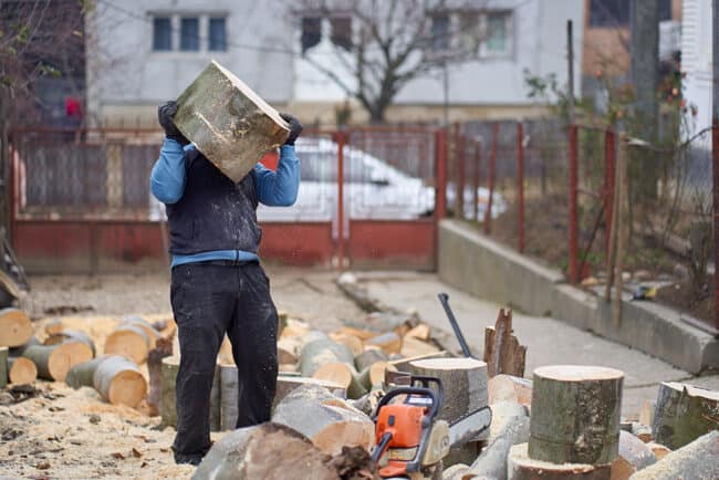 Manual Handling Weight Limits - Why They Are Important