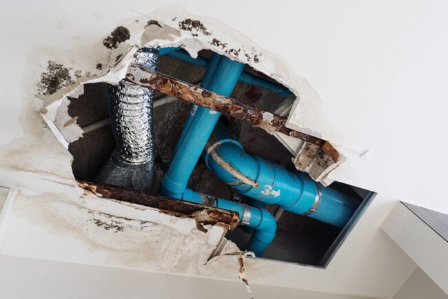 How to Do a Plumbing Risk Assessment | Human Focus