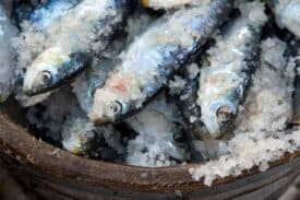 Food Preservation Methods and Guidance