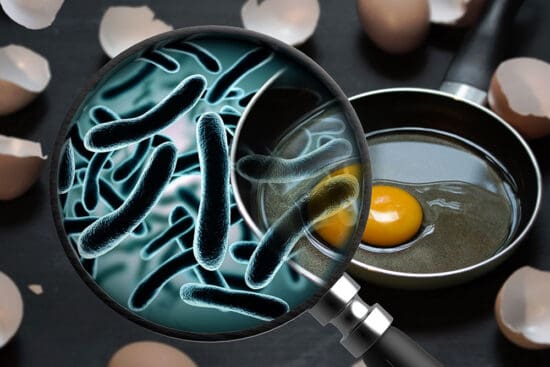 What Is Microbial Contamination?